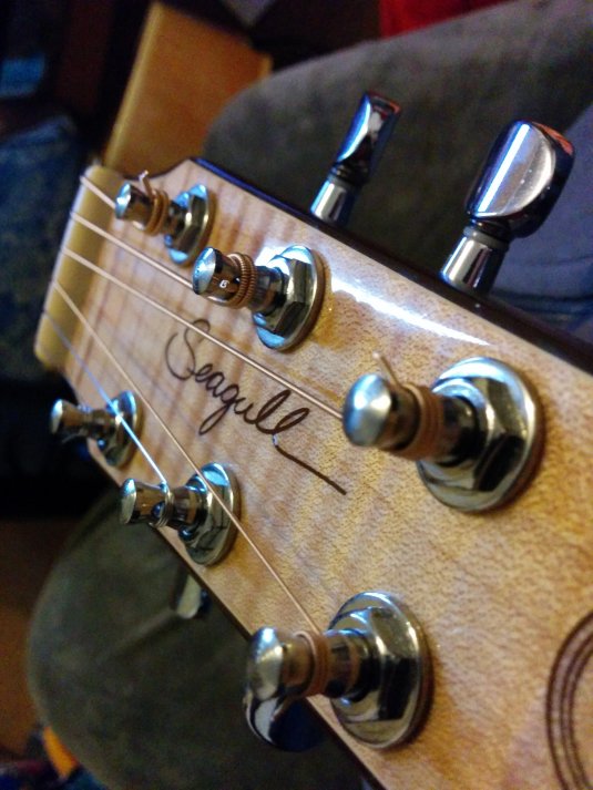 Road Trip Notes | Debra Manskey